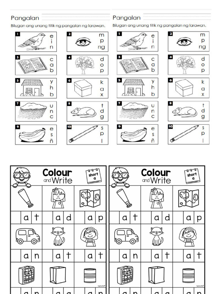 Activity Grade 2 | PDF