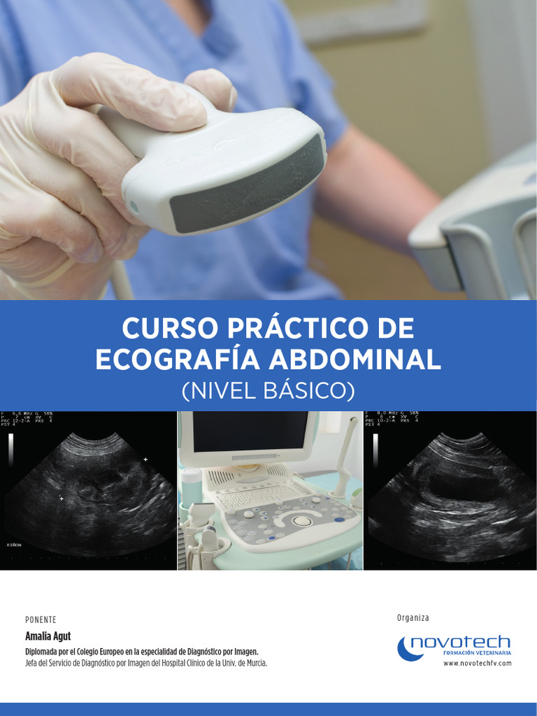 Proceeding Completo Ecografia Abdominal Nivel Basico 6 7 y 8 de Octubre 2023 | PDF | Ultrasonido ...