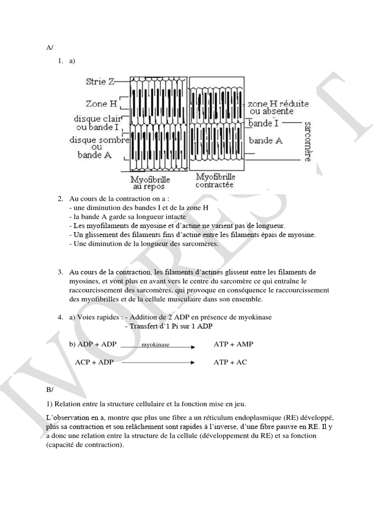 Corrige Exo 2 TD TC | PDF