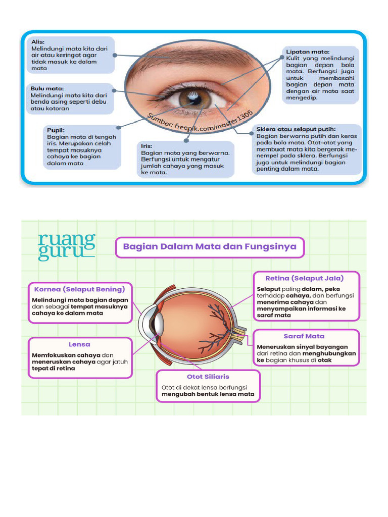 Bagian Mata Ipas | PDF