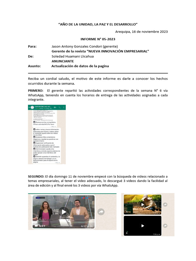 informe N°6 AREA DE ANUNCIANTE | PDF