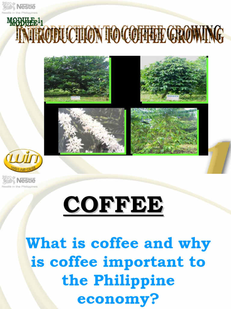 Introduction To Coffee Growing | PDF
