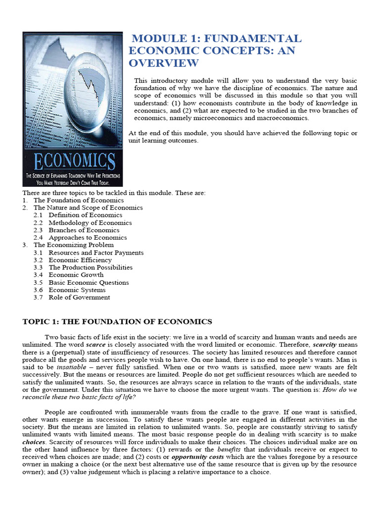 Basic Microeconomics Module 1 Pdf Economics Externality