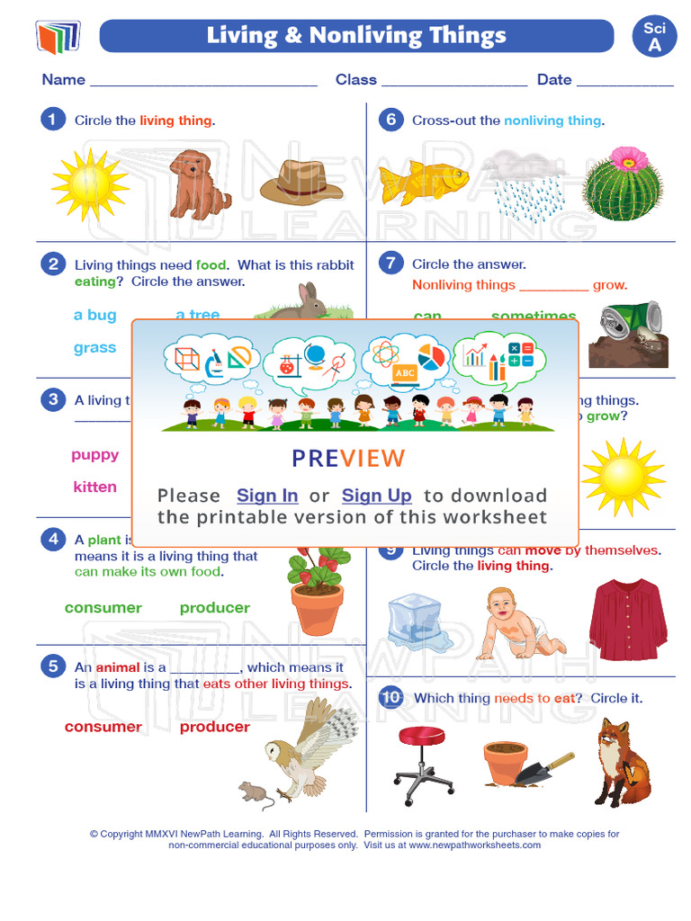 Worksheet Science Grade 1 Living and Nonliving Things 3 | PDF ...