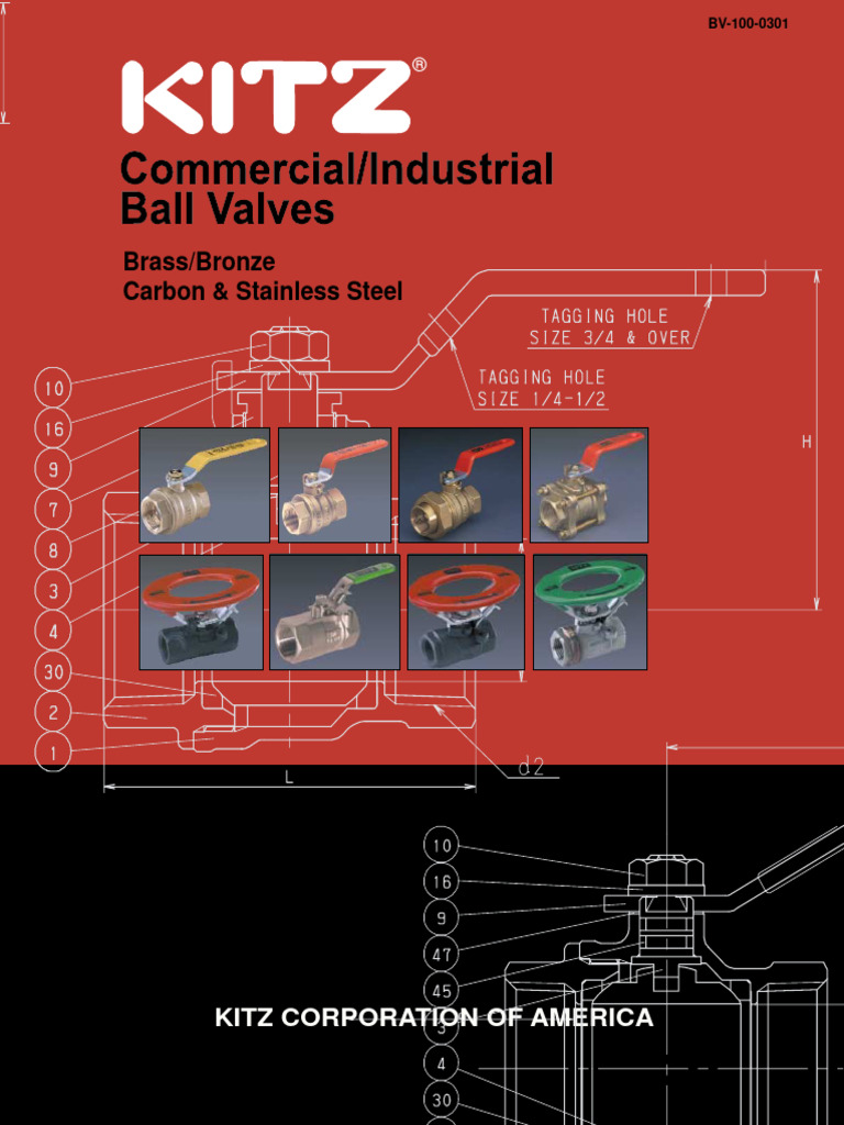BV 100 | PDF | Valve | Sales
