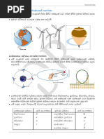 SFT Short Notes | PDF