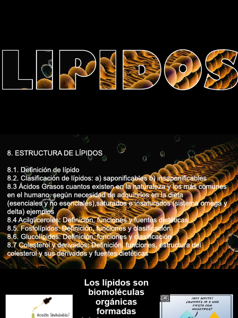 Estructura de Lipidos | PDF | Lípido | Ácido graso