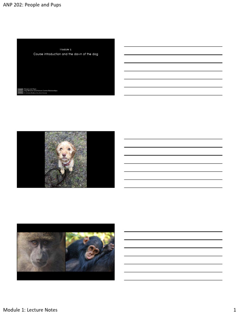 ANP 202 Module 1 Lecture Notes | PDF | Dogs | Biological Evolution