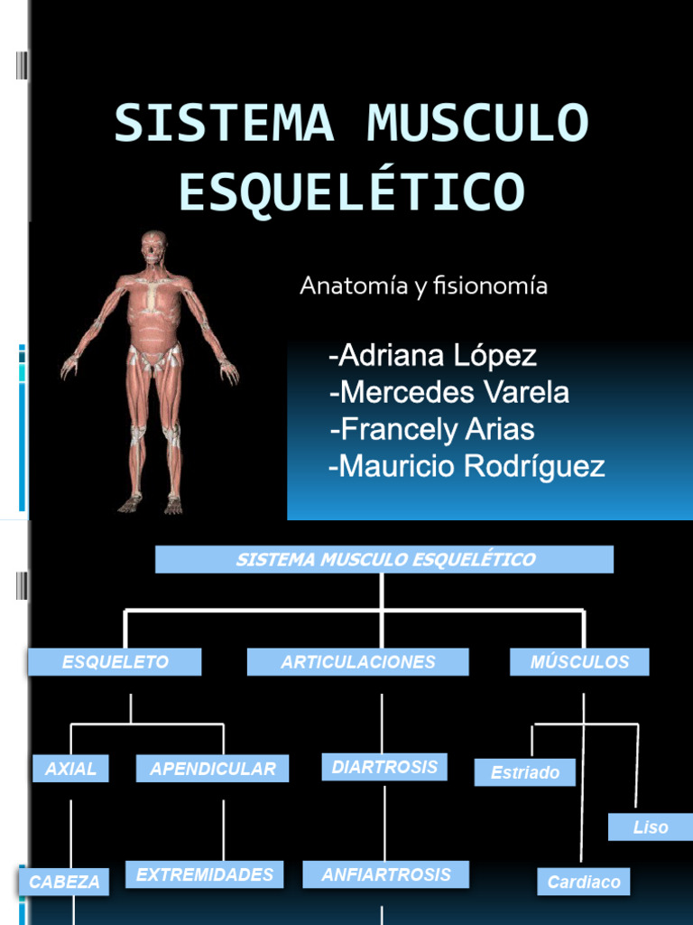 Sistema Musculo Esquelético Pdf Articulación Hueso