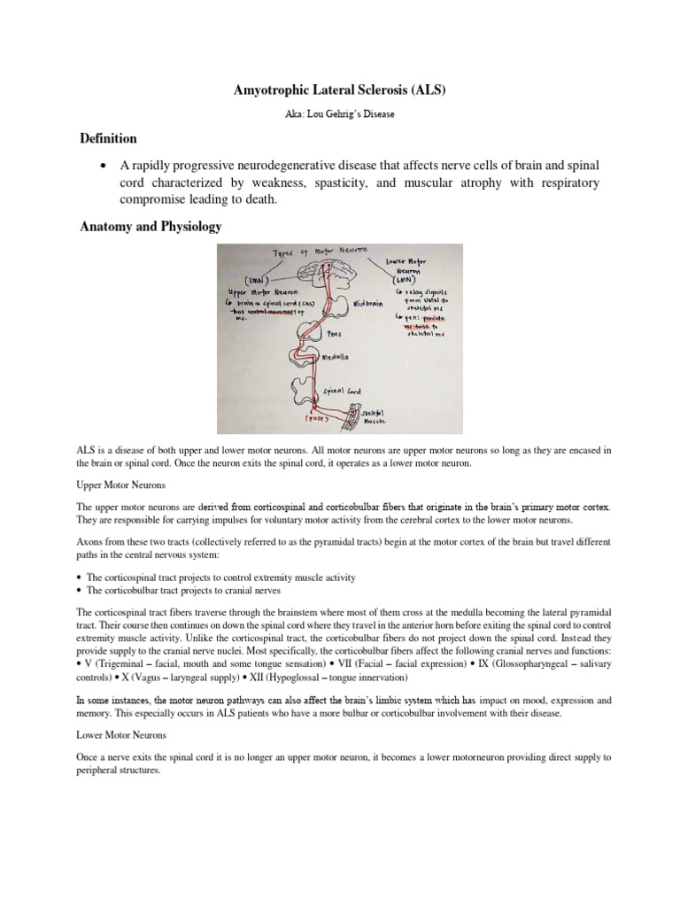 Amyotrophic Lateral Sclerosis Pdf Diseases And Disorders Clinical