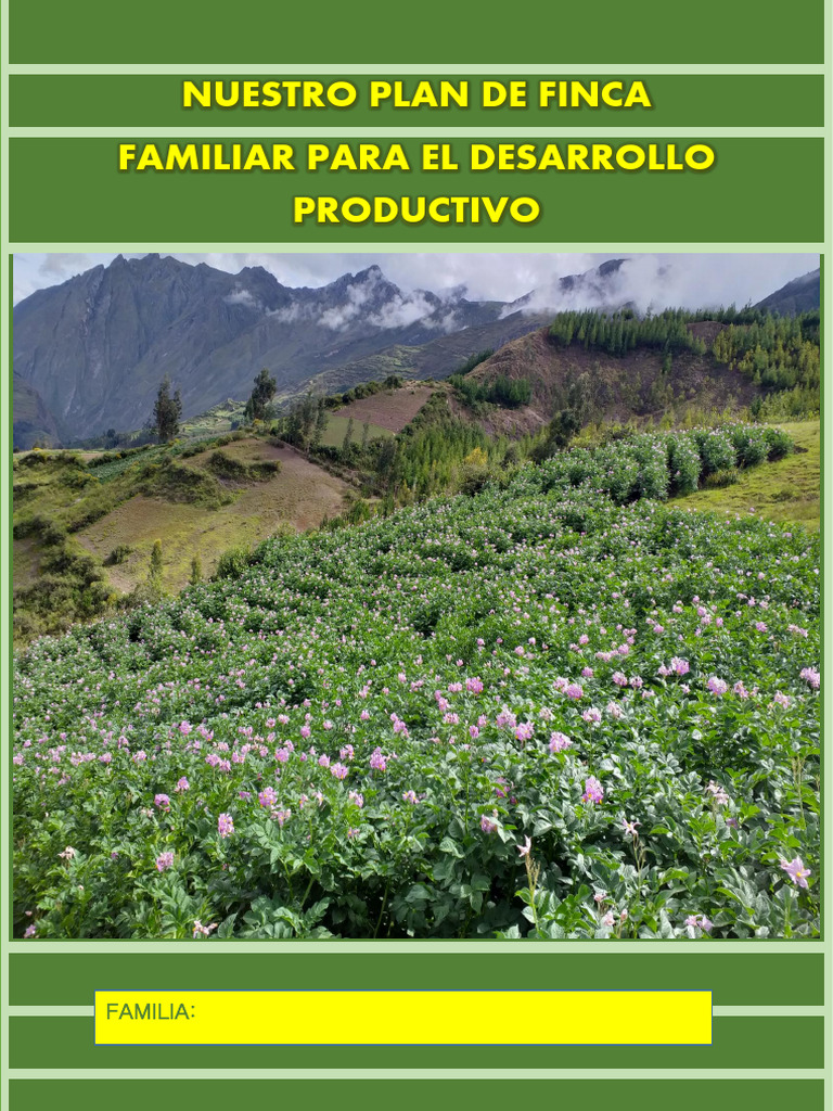 DISEÑO PLAN DE FINCA-final | PDF | Oveja | Familia