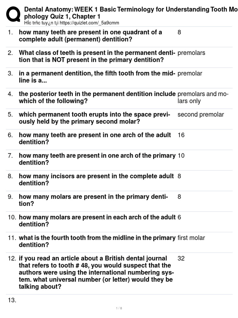 Dental Anatomy_ WEEK 1 Basic Terminology for Understanding Tooth ... Dental Anatomy_ WEEK 1 Basic Terminology for Understanding Tooth ...
