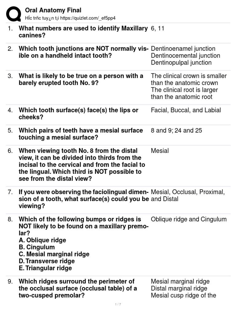 Oral Anatomy Final | PDF | Dental Anatomy | Mouth