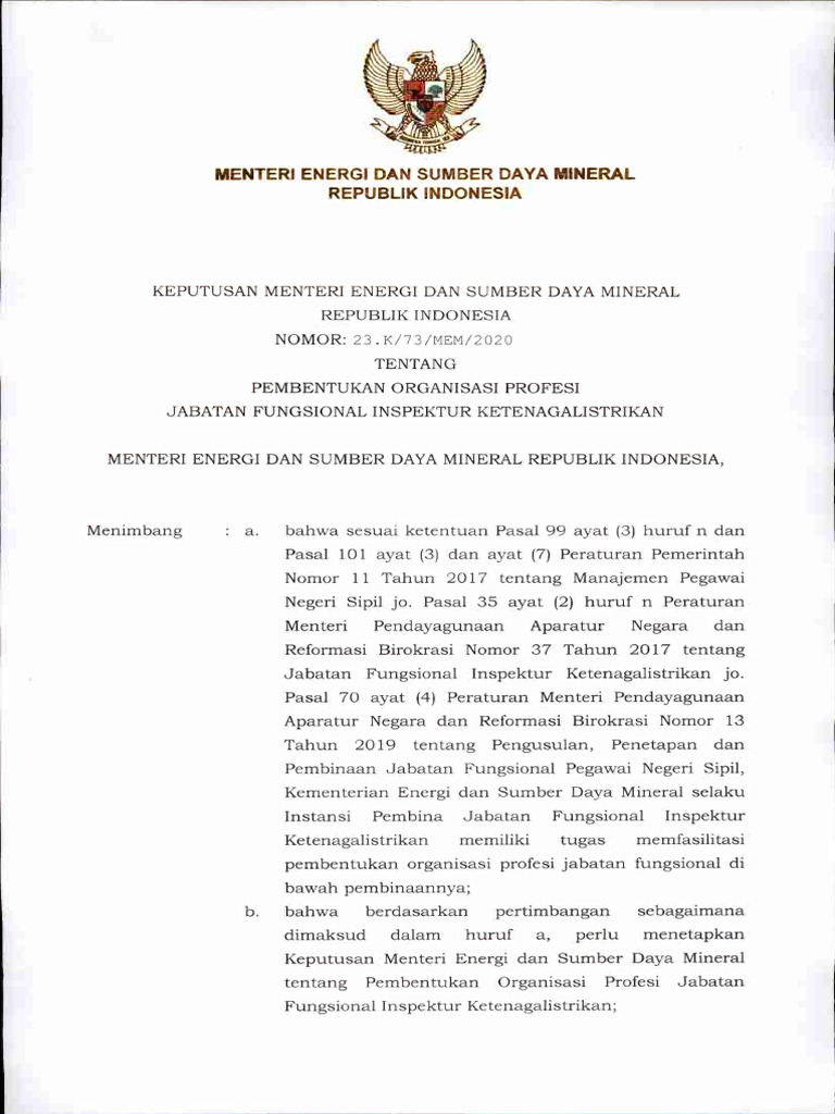 Kepmen ESDM No. 23.K73MEM2020 Tentag Pembentukan Organisasi Profesi Jabatan IK | PDF