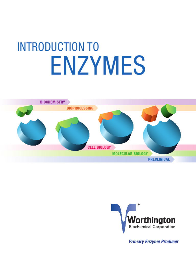 Enzymes | PDF