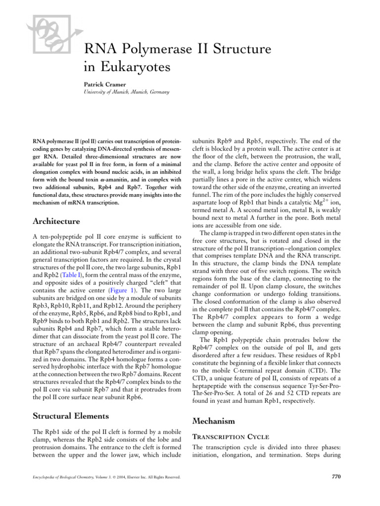 Polymerase II Structure | PDF | Dna | Rna
