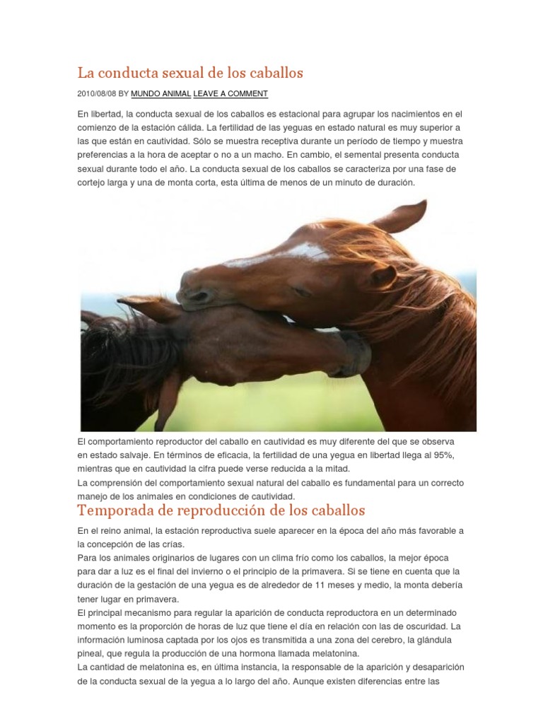 Comportamiento sexual de caballos | PDF | Caballos | Percepción visual