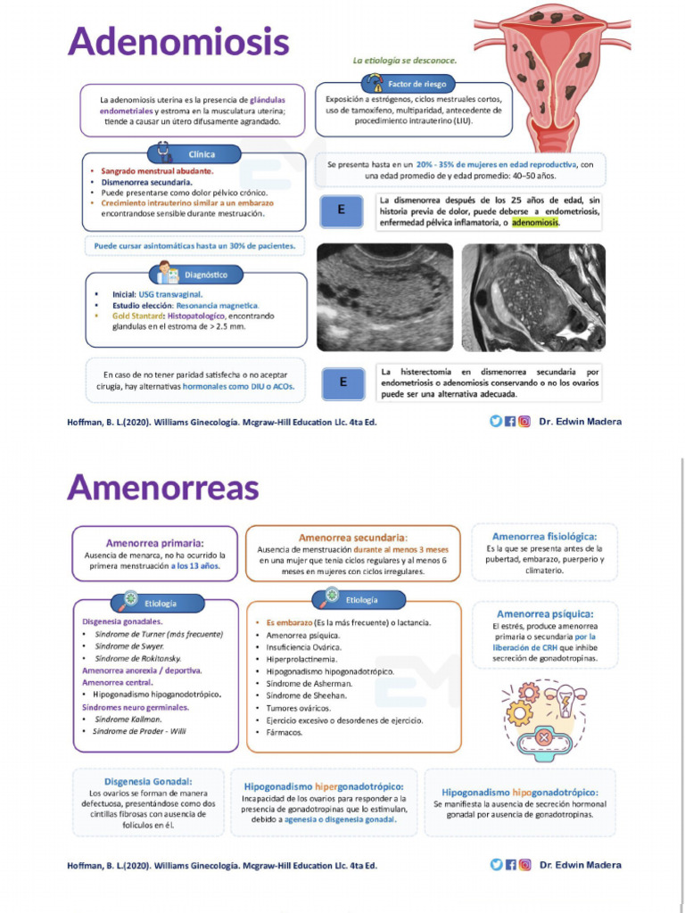 13 Gine - Edwin 2023 | PDF