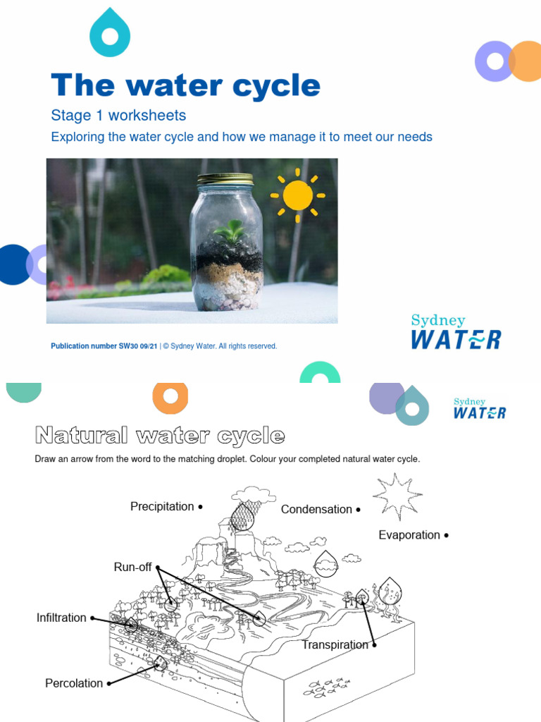 Water Cycle Worksheets for Grade 7 | PDF | Water Cycle | Water
