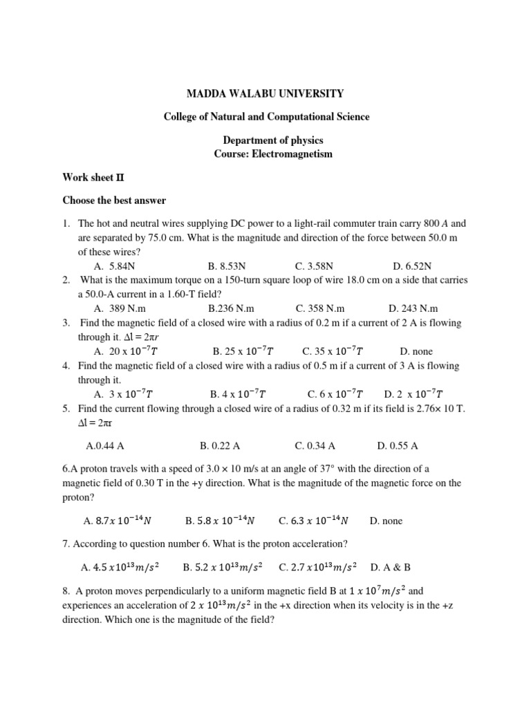 Work Sheet 2-1 | PDF | Magnetic Field | Euclidean Vector