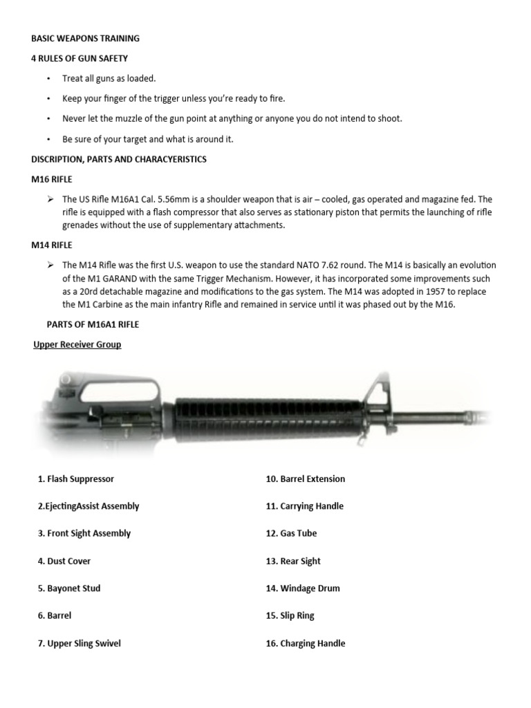 Basic Weapons Training | PDF | Rifle | Magazine (Firearms)