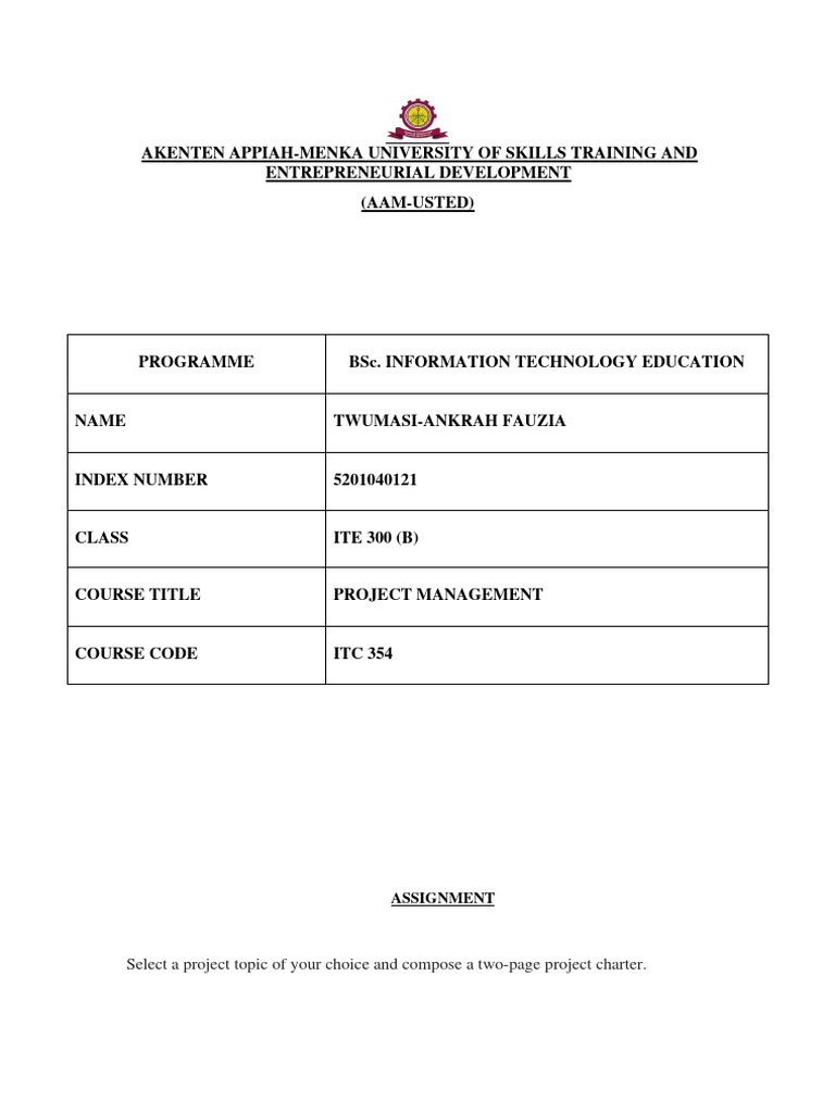 Delivery Application Project Charter | PDF | Software Testing | Computing