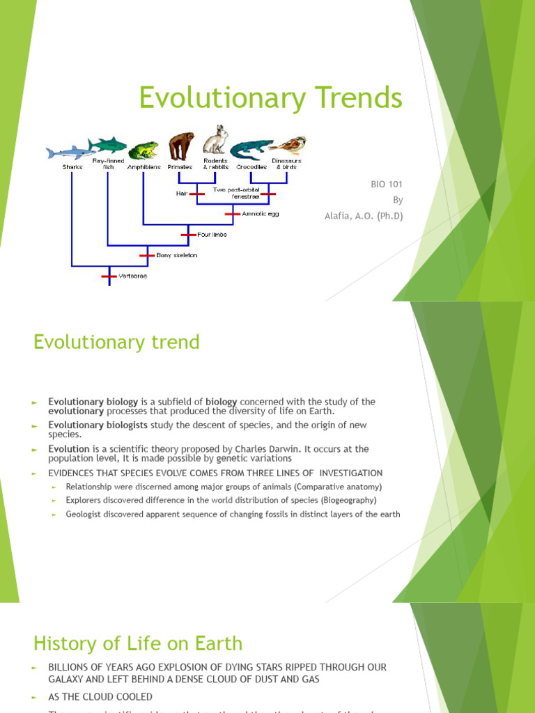 Module 6 | PDF | Natural Selection | Evolution