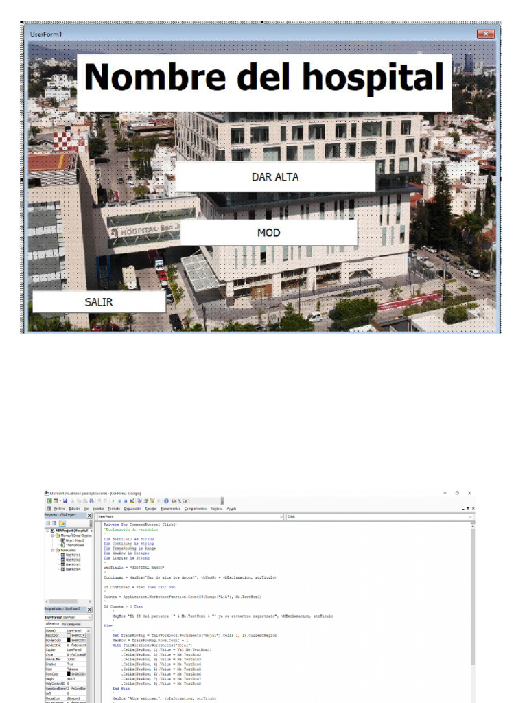 Formulario y Codigos Visual Basic | PDF