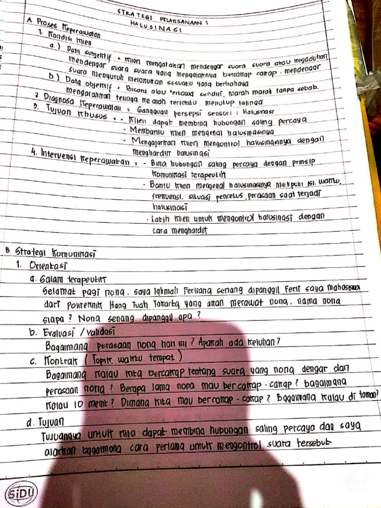 SP 1-4 Halusinasi | PDF