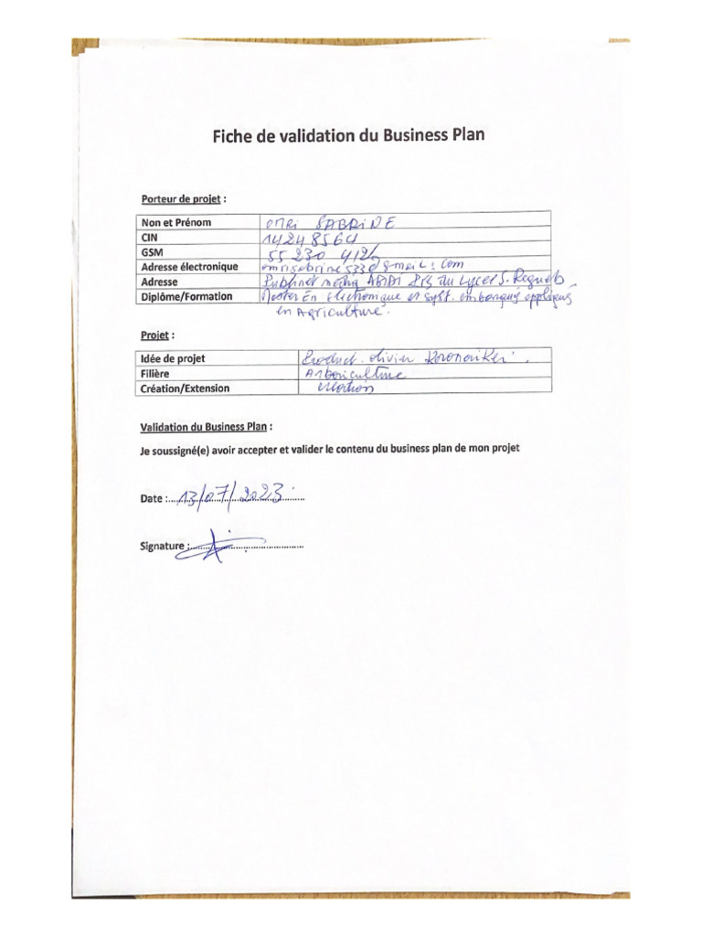 Fiche de Validation Du Business Plan | PDF