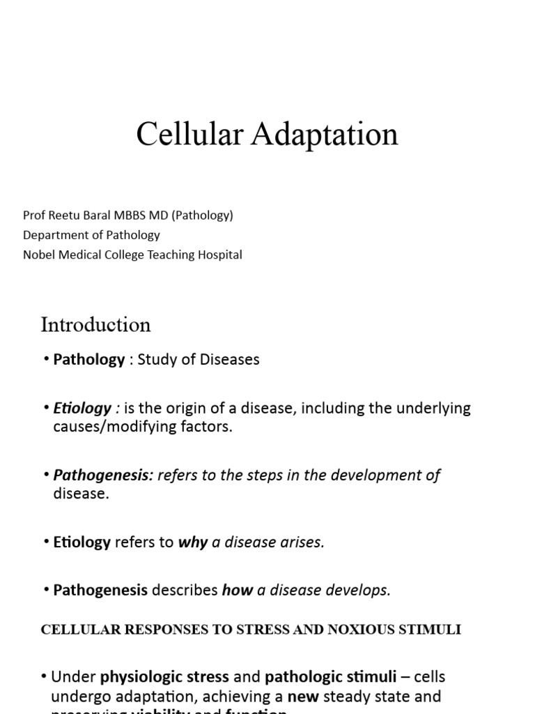 1 Cellular Adaptation | PDF | Epithelium | Anatomy