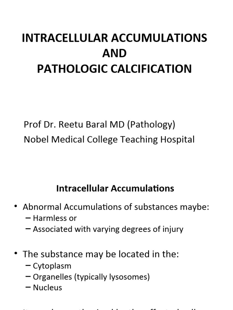 4 Intracellular Accumulations | PDF | Medical Specialties | Anatomy