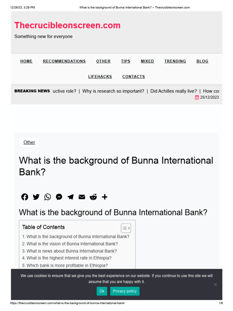 Background of Bunna International Bank | PDF | Banks | Interest Rates