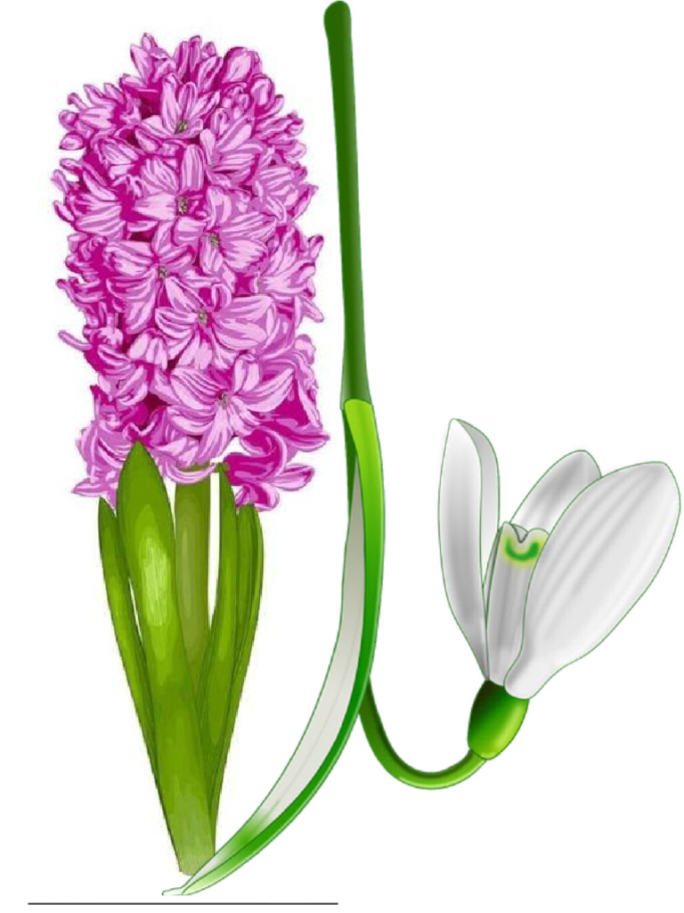 flori_de_primavara_jetoane | PDF