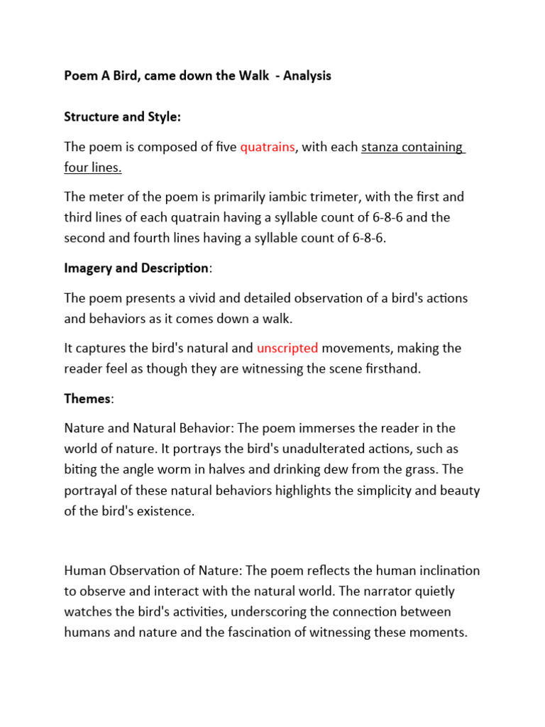 Analysis - A Bird, Came Down The Walk | PDF | Poetry | Classics