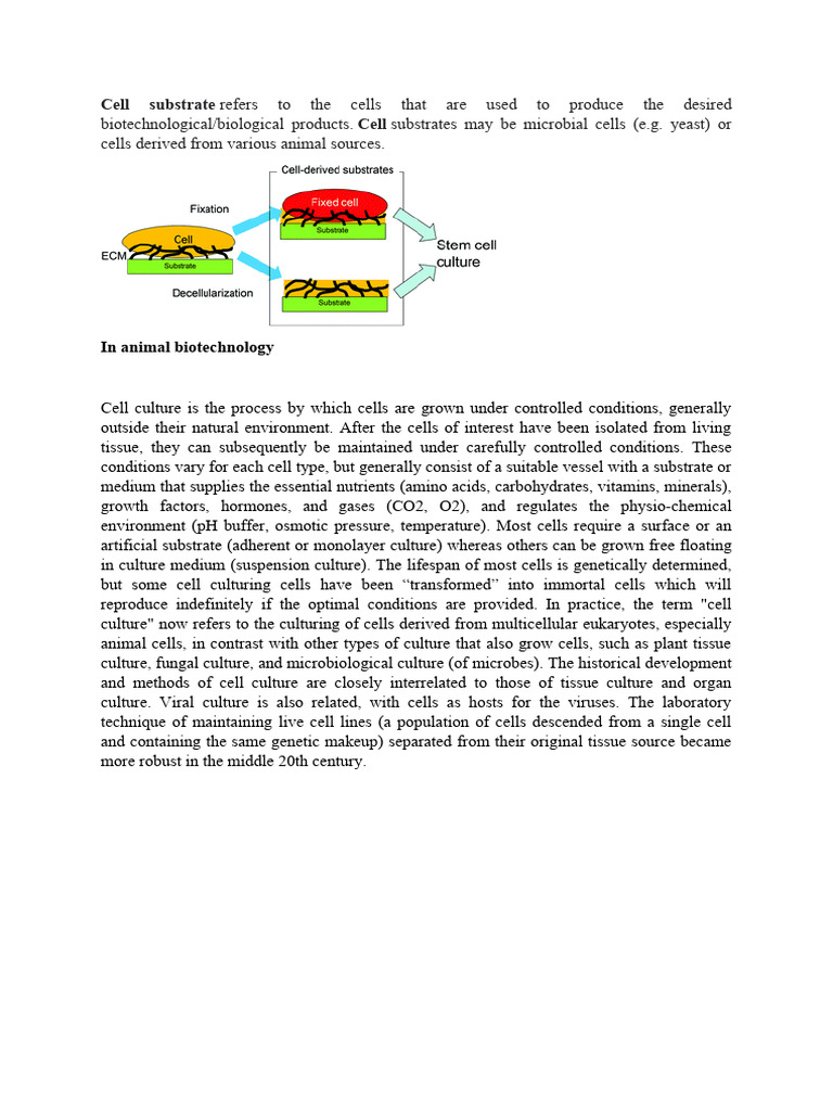 animal btCell culture substrates_ 7 B (1) | PDF | Cell Culture | Chemistry
