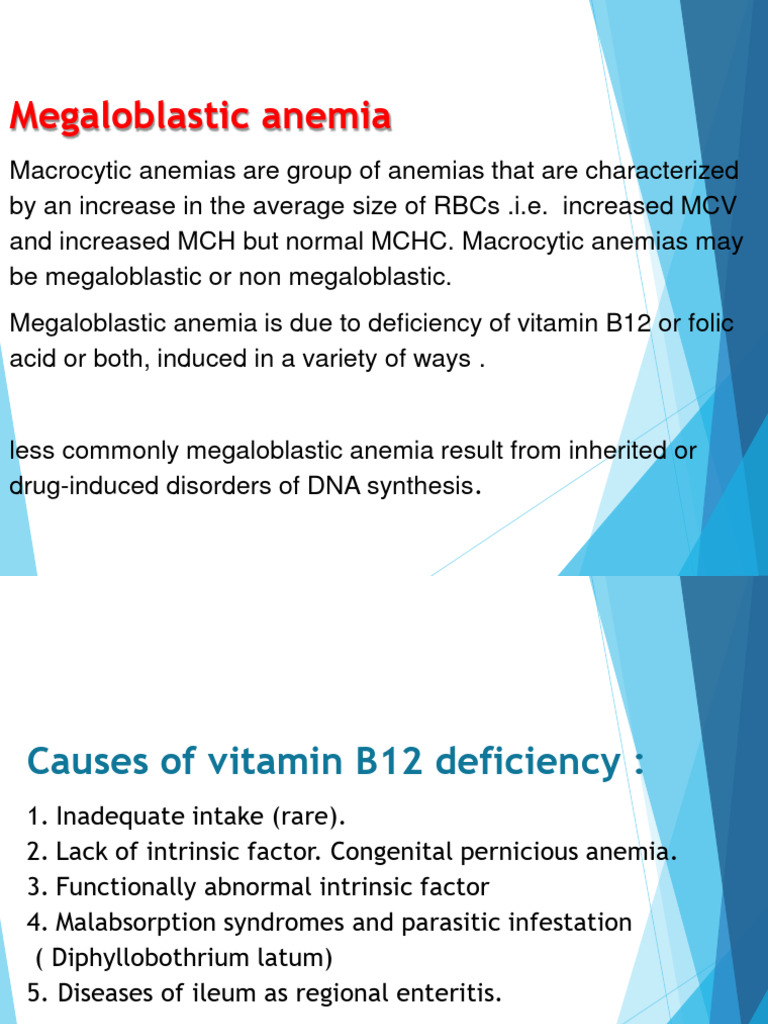 Megaloblastic Anemia | PDF | Anemia | Vitamin B12