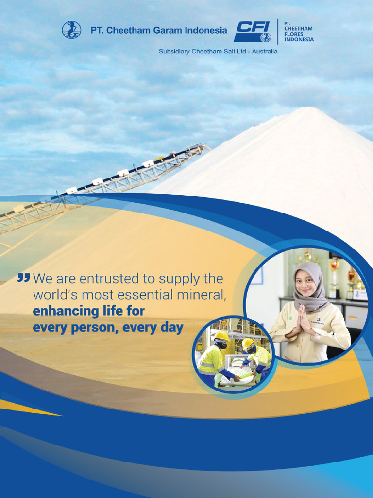 Company Profile Cheetham Garam Indonesia | PDF