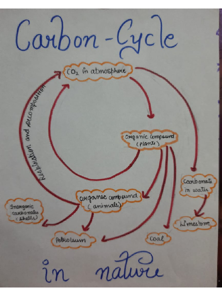 Document From Shriya | PDF