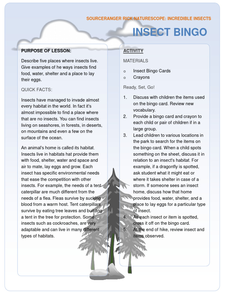 Insect Bingo | PDF | Insects | Habitat