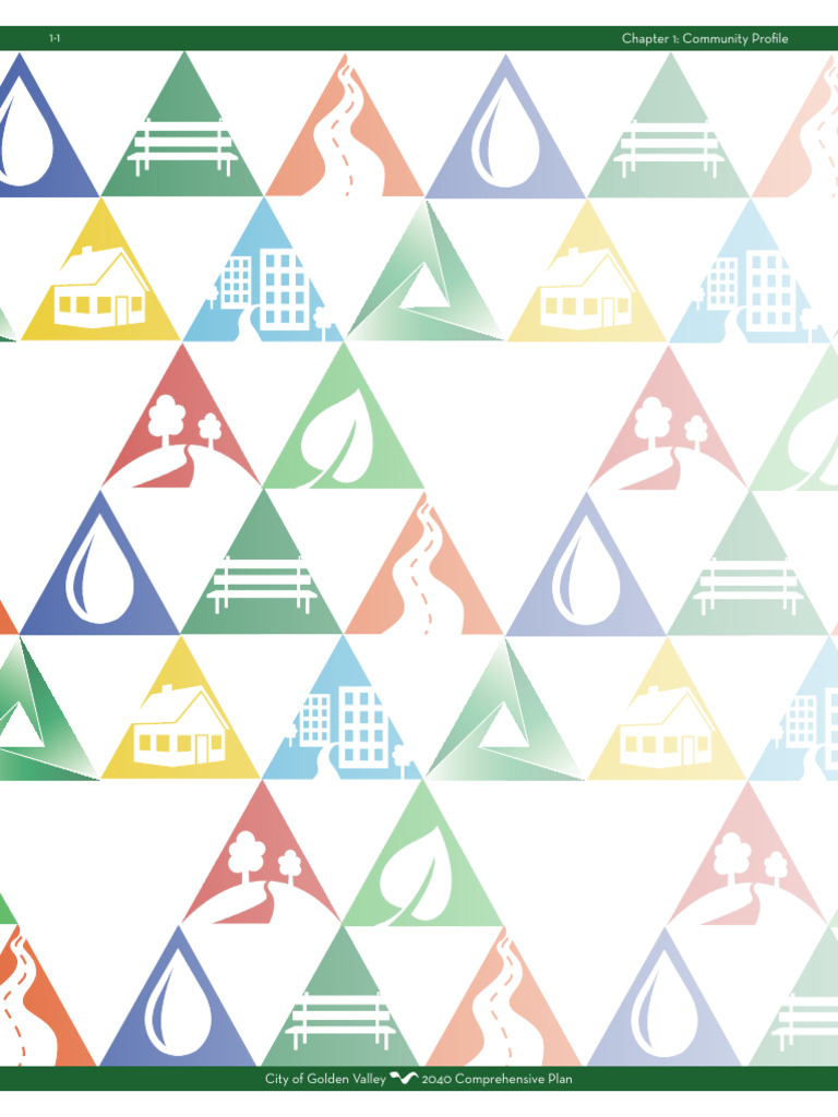 Chapter 1 - Introduction Community Profile PDF | PDF | Race And ...