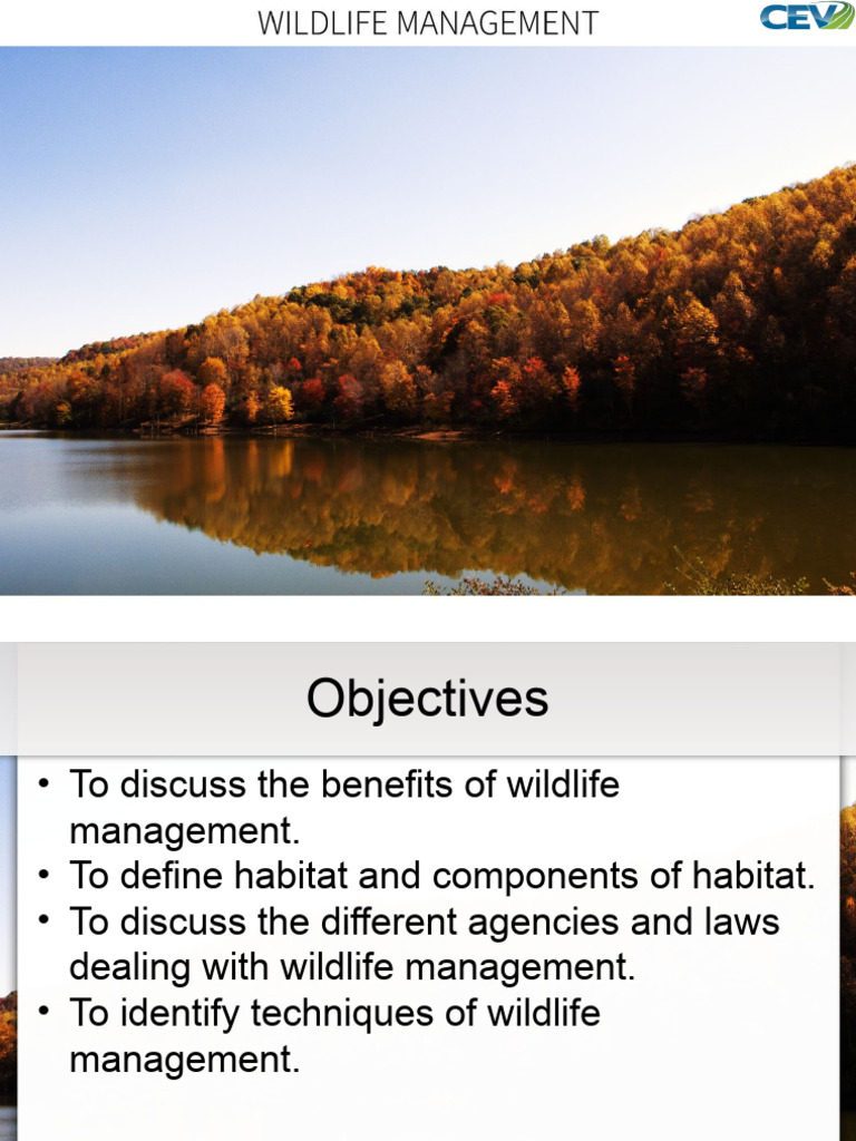 Icev10135 Wildlife Management | PDF | United States Fish And Wildlife ...