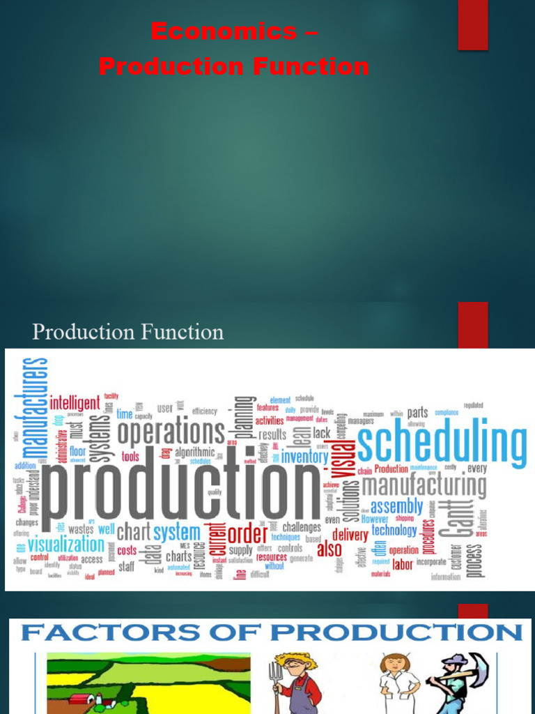 Grade XI - Microeconomics - Production Function | PDF | Production ...