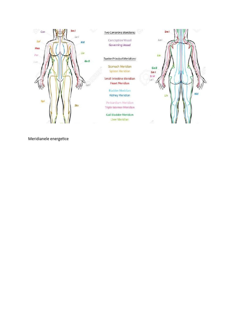 Meridianele Energetice | PDF