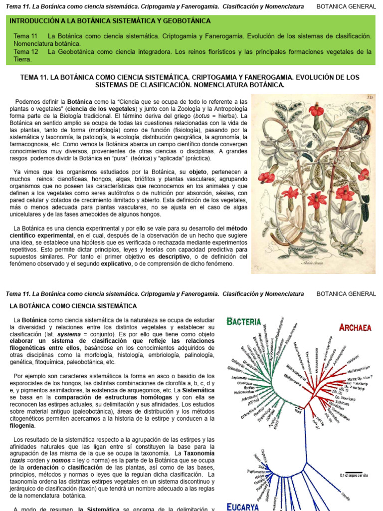 Botánica Sistemática y Geobotánica Explicadas | PDF | Taxonomía ...