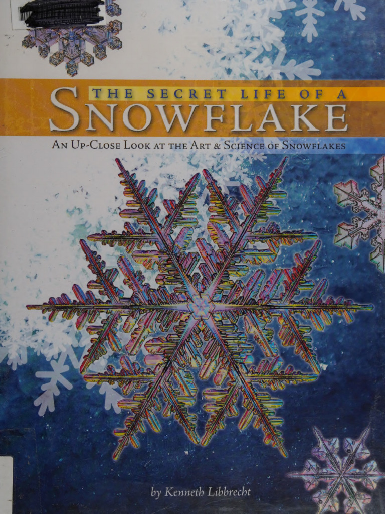 The Secret Life of A Snowflake - Libbrecht, Kenneth | PDF | Physical ...