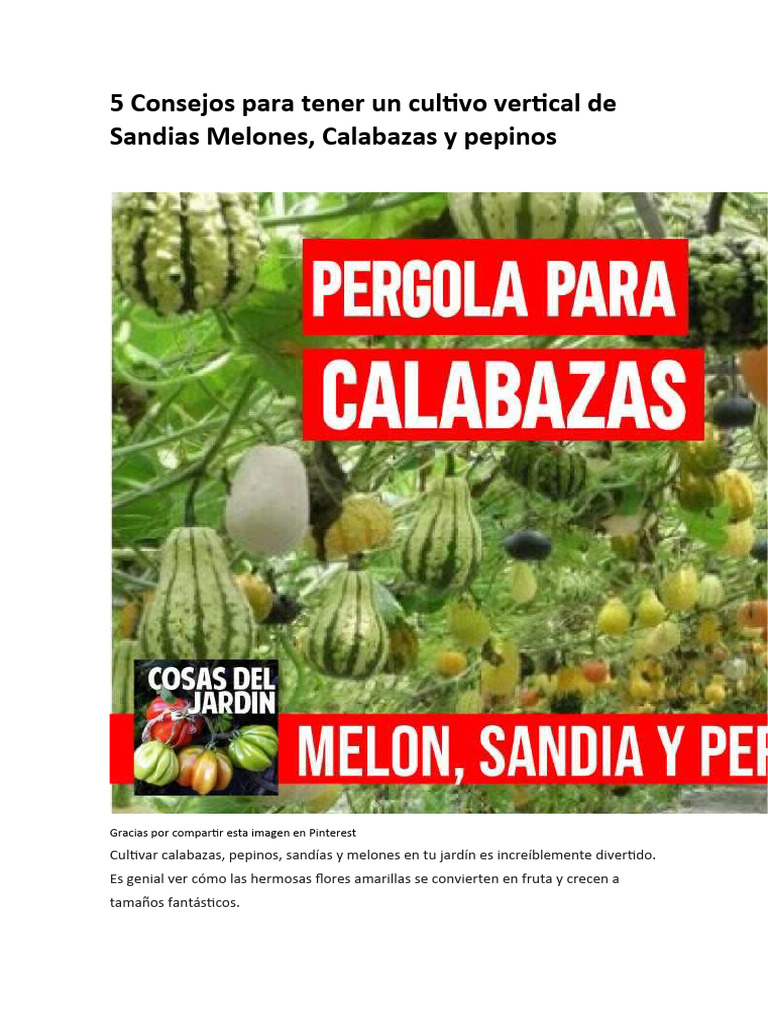 5 Consejos para tener un cultivo vertical de Sandias Melones | PDF | Plantas | Suelo