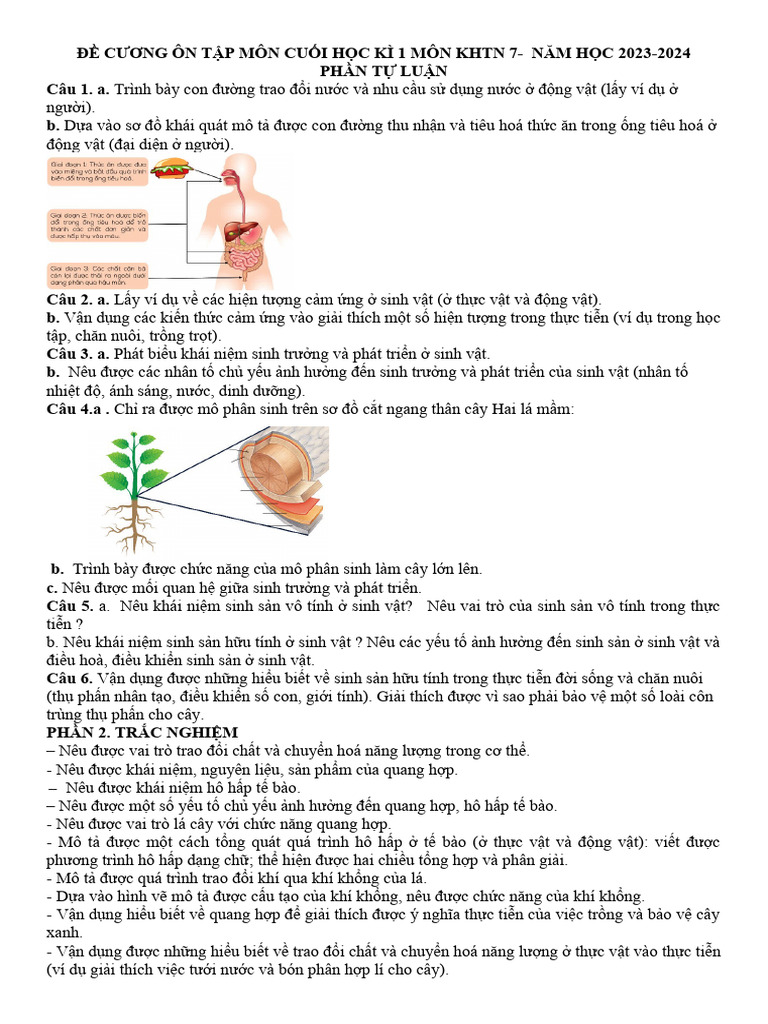 ÔN TẬP CK1 KHTN 7 | PDF