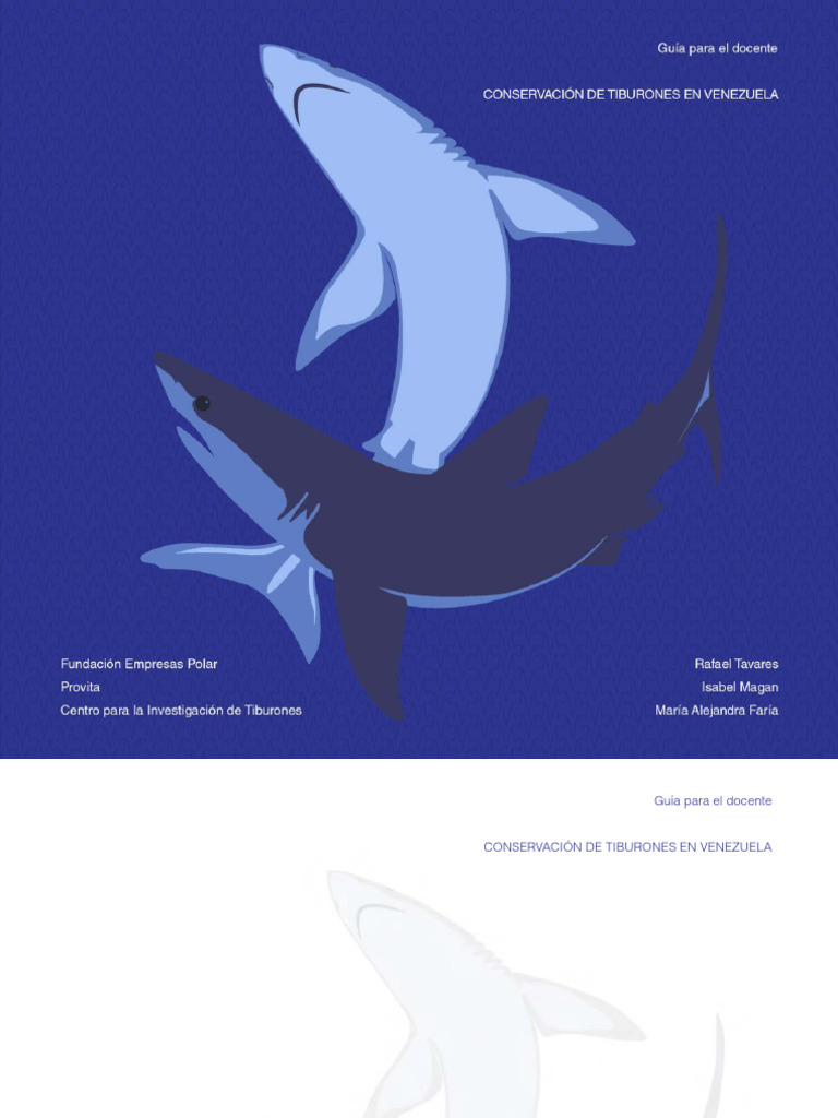 Conservación de Tiburones en Venezuela | PDF | Branquia | Sistema ...