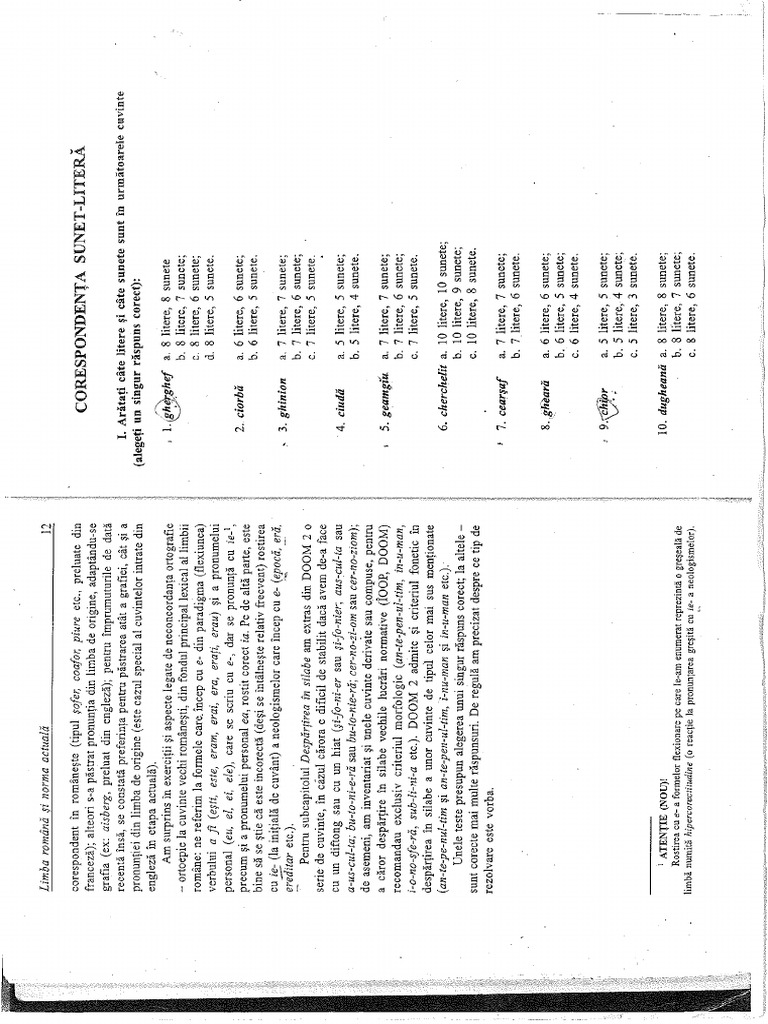 Elemente de Vocabular 1-48 | PDF